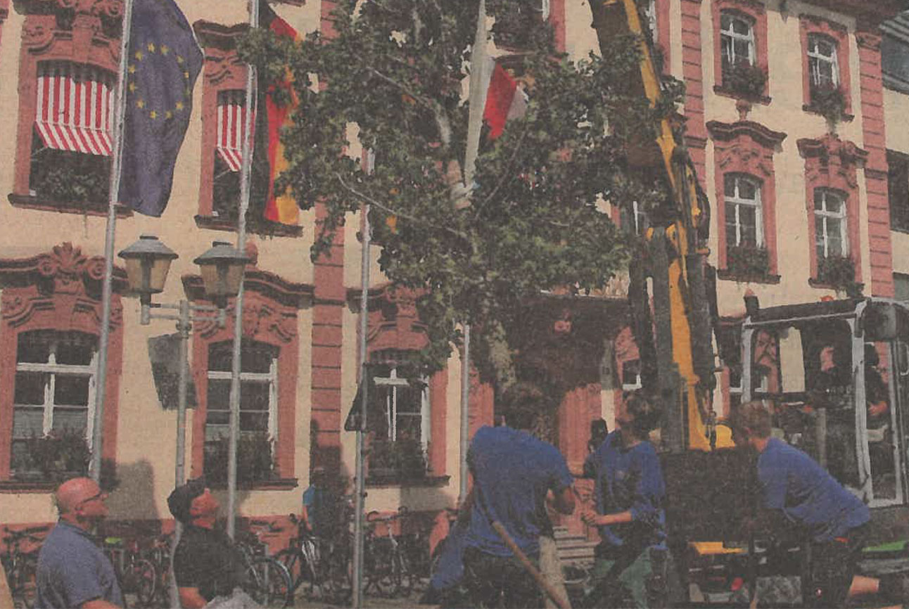 pressestimmen | Simontrees